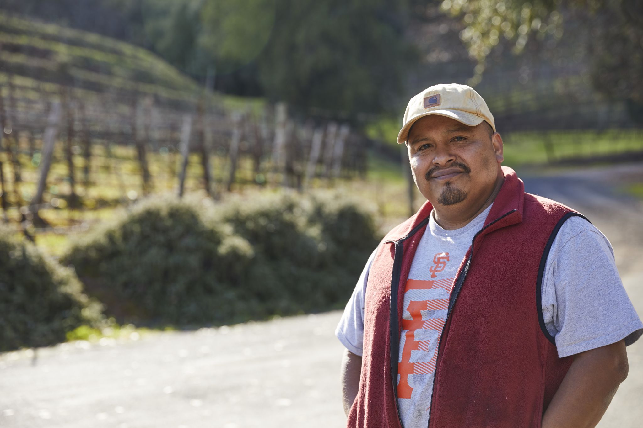 2020 Román Zinfandel | Marietta Cellars